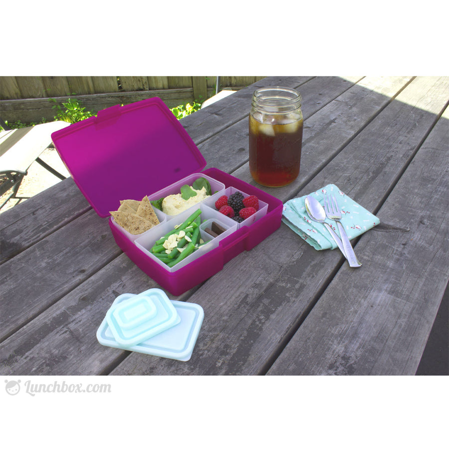 Classic Bento Lunch Box - Raspberry Blue – Lunchbox.com