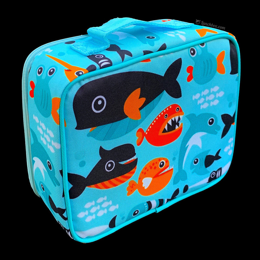 Big Fish Lunch Box – Lunchbox.com