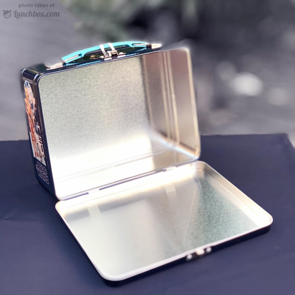 Standard Size Lunch Boxes – Lunchbox.com